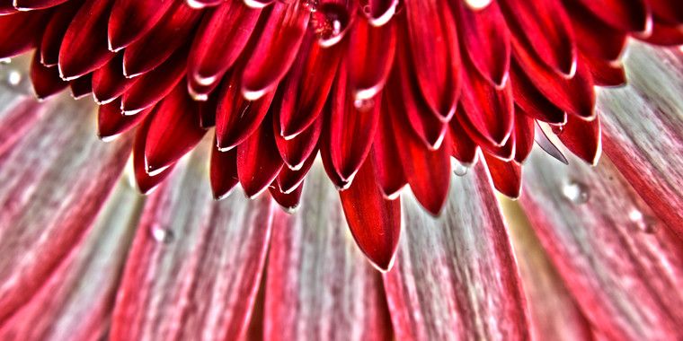 Join the Project Abstract Photo Contest and win Extendable monopod and ...